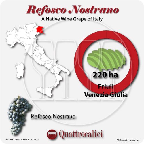 Refosco nostrano - Quattrocalici - Italian Wine Grapes