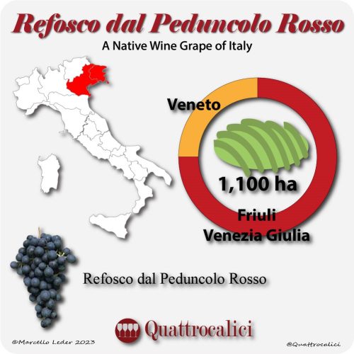 Refosco dal peduncolo rosso - Quattrocalici - Italian Wine Grapes