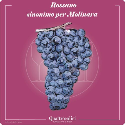 Rossano - Quattrocalici - Italian Wine Grapes