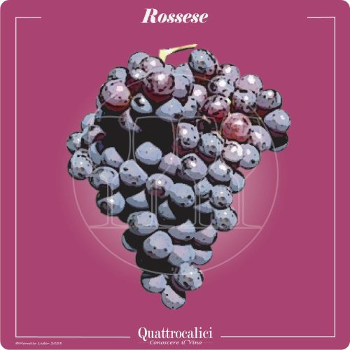 Rossese - Quattrocalici - Italian Wine Grapes