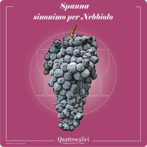 Spanna - Quattrocalici - Italian Wine Grapes
