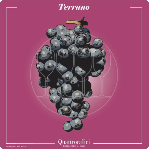 Terrano - Quattrocalici - Italian Wine Grapes