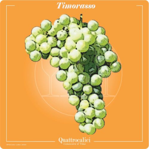 Timorasso - Quattrocalici - Italian Wine Grapes