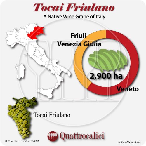 Tocai Friulano - Quattrocalici - Italian Wine Grapes