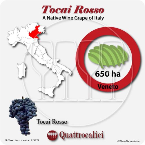 Tocai rosso - Quattrocalici - Italian Wine Grapes