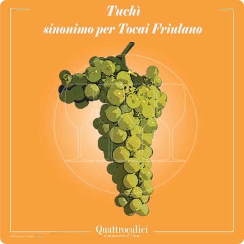 Tuchì - Quattrocalici - Italian Wine Grapes